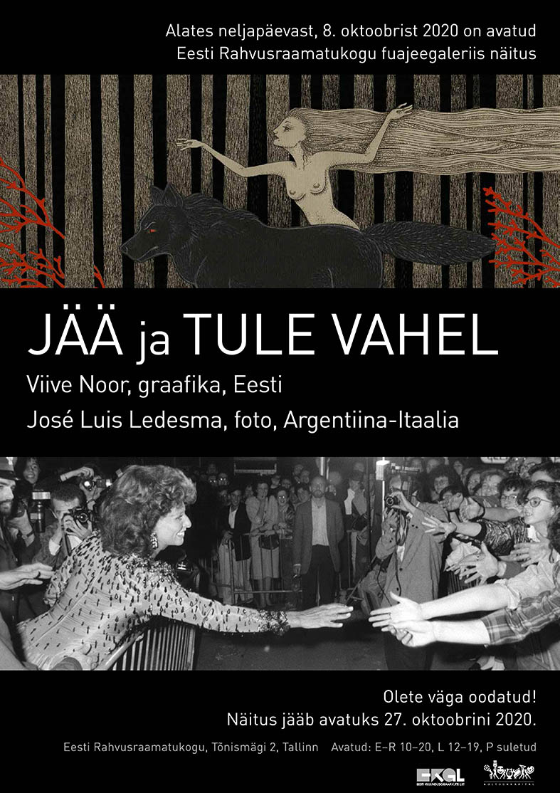 Exhibtion ''between ice and fire'' Viive Noor and José Luis Ledesma ...