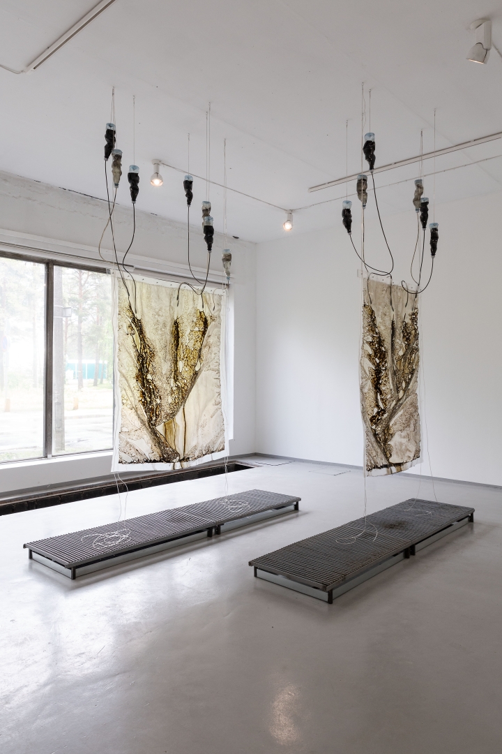 Winners of the Nordic and Baltic Young Artist Award 2024 Announced ...