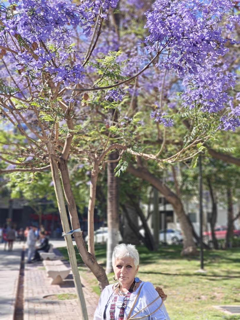 Katrin Pere | NOBA Põhja- ja Baltimaade kaasaegse kunsti keskkond