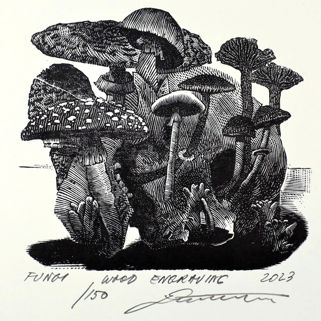 Monoliths (Starships) - Reinis Gailītis | NOBA Nordic Baltic ...