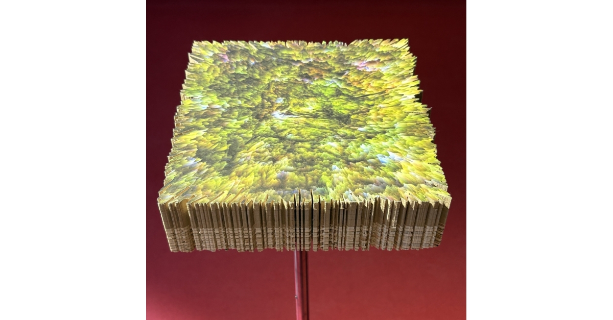 Algae - Johannes Luoma | NOBA Nordic Baltic contemporary art platform